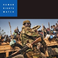 Human Rights Watch and Amnesty International’s 2015 reports raise ...